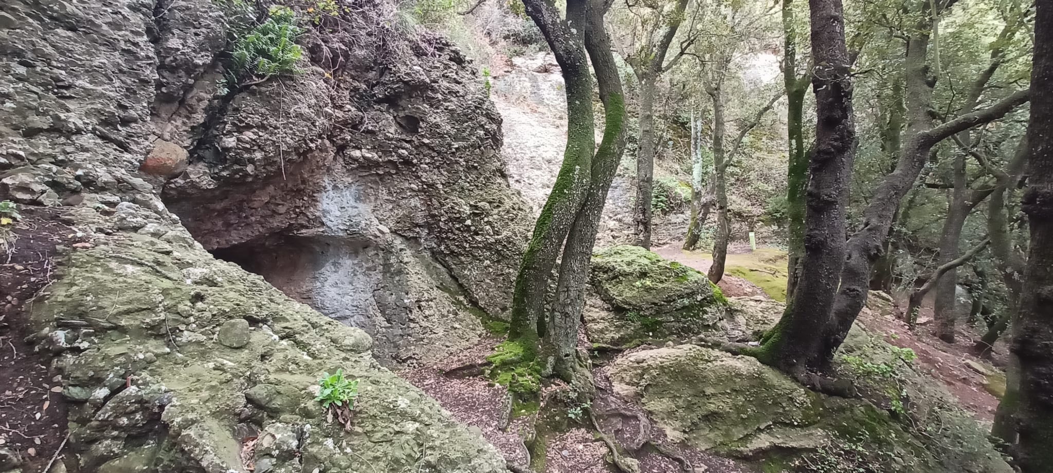 FOTOGALERIA | La Cova del Frare al Parc Natural