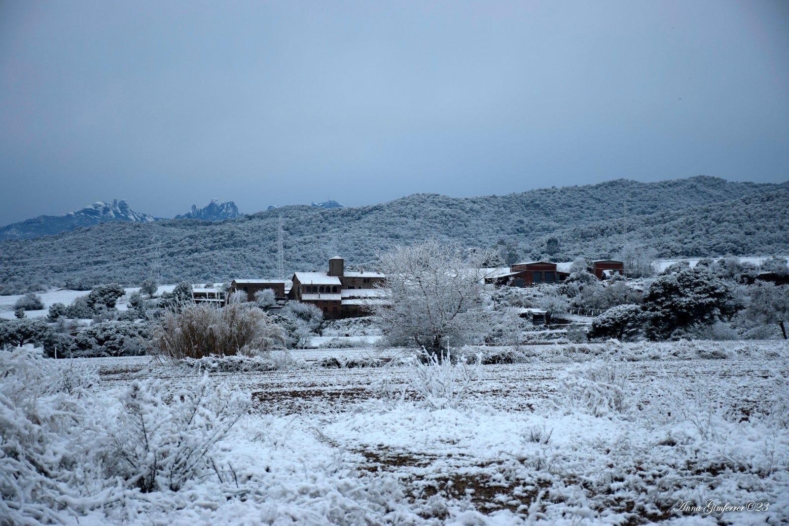 FOTOGALERIA | Passeig hivernal pel Pla del Bon Aire i els camps de Can ...
