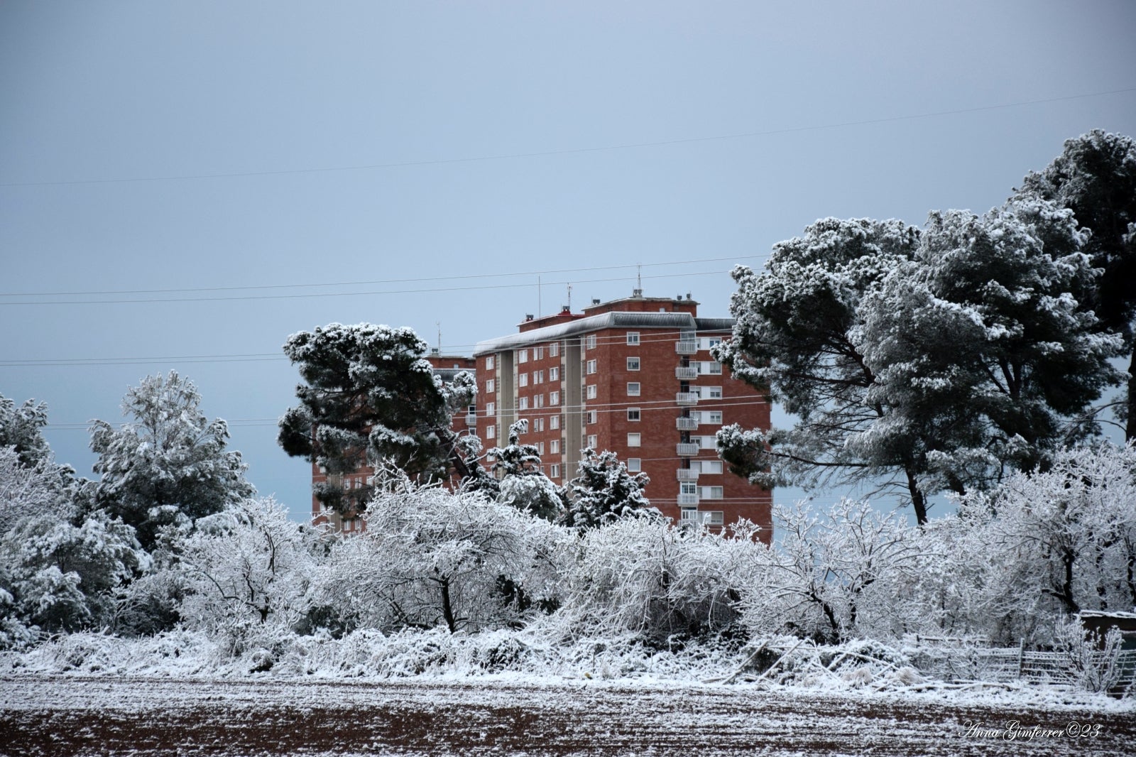 FOTOGALERIA | Passeig hivernal pel Pla del Bon Aire i els camps de Can ...