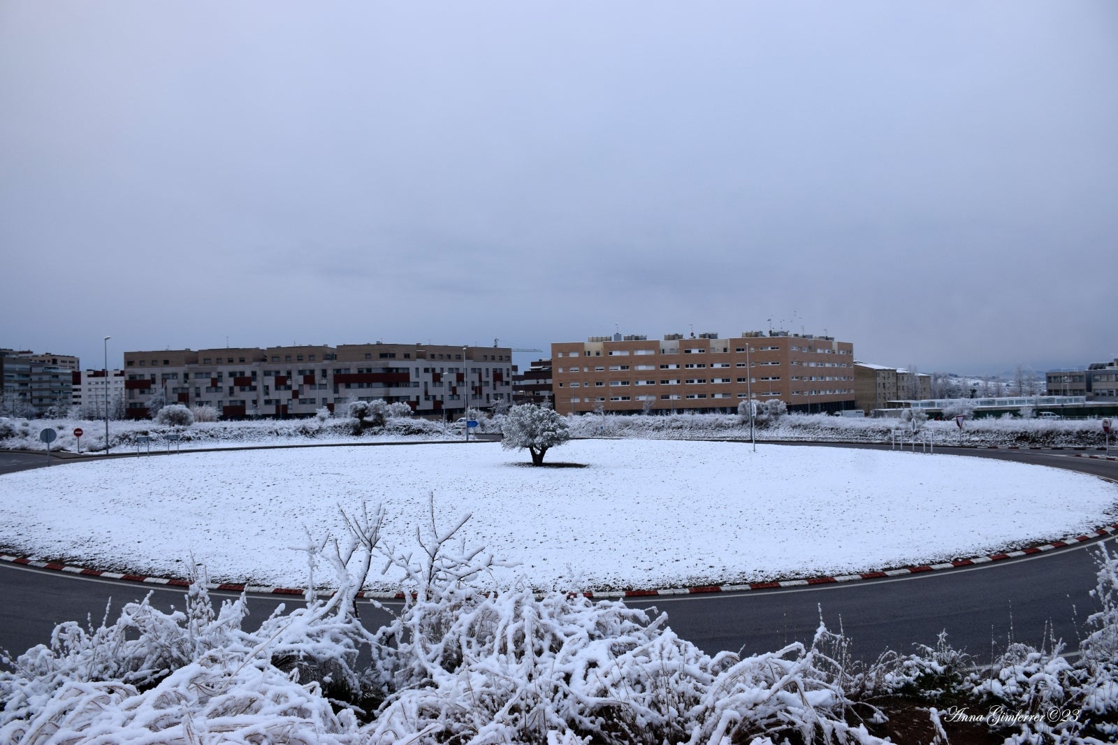 FOTOGALERIA | Passeig hivernal pel Pla del Bon Aire i els camps de Can ...