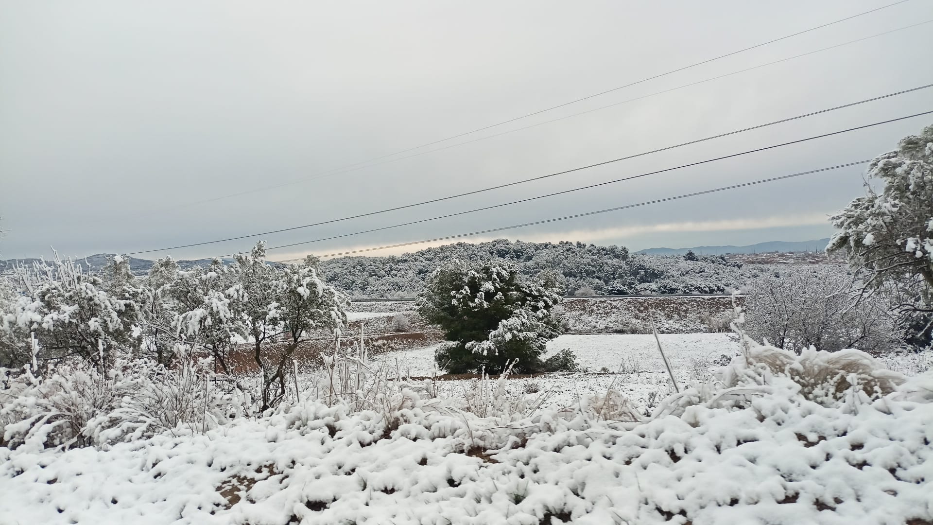 FOTOGALERIA | Els lectors retraten una Terrassa ben nevada