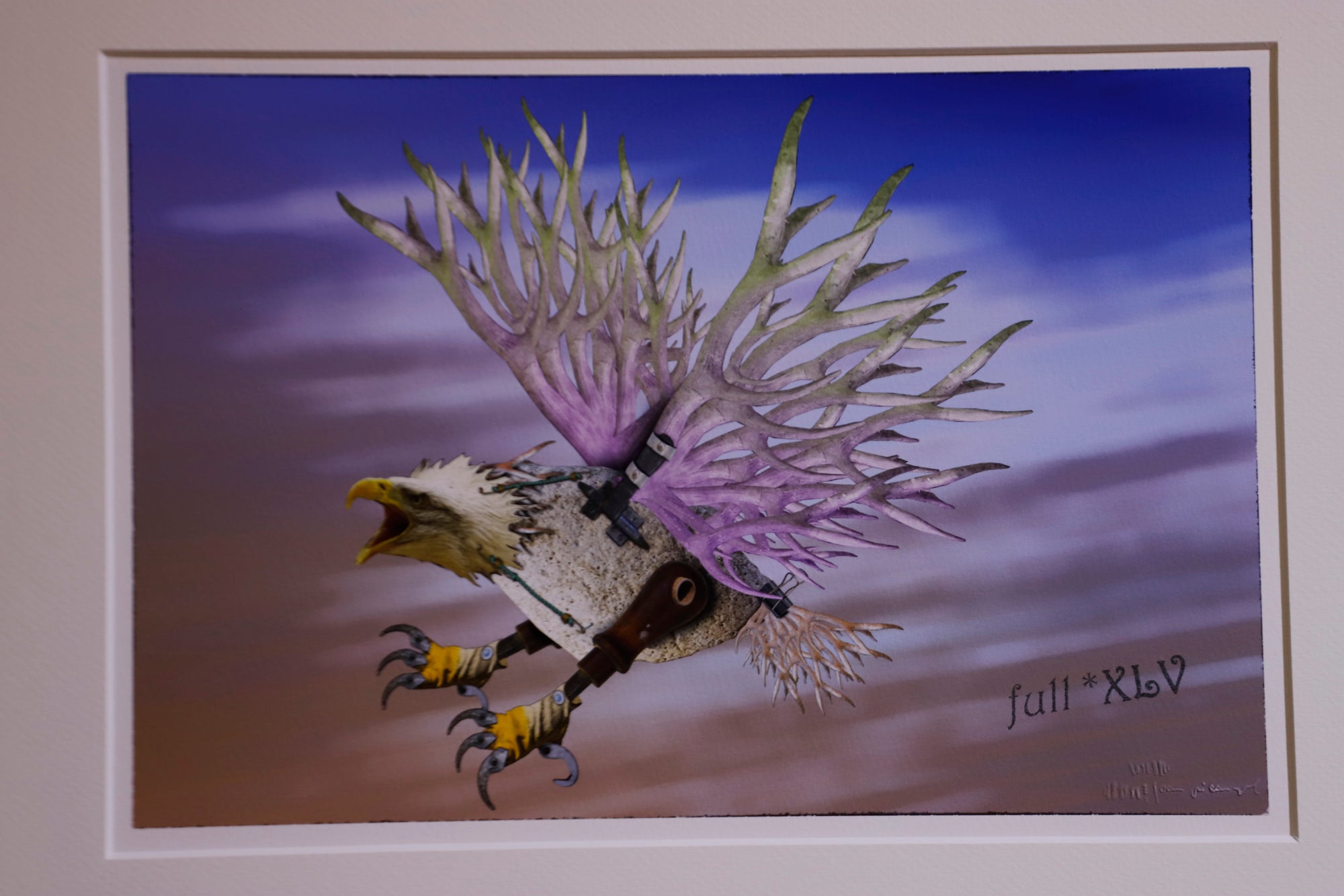 FOTOGALERIA | Els animals de Joan Picanyol s’exposen a Terrassa