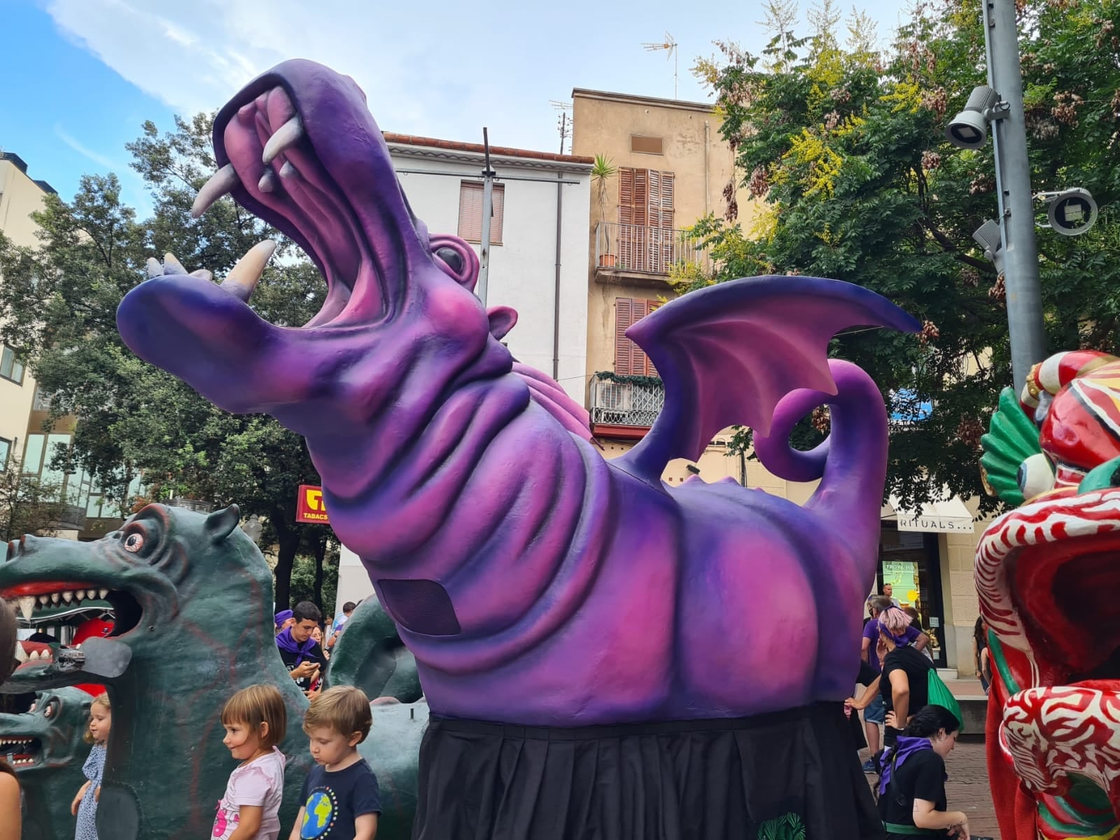 FOTOGALERIA | Bateig popular de la hipodragona de Terrassa