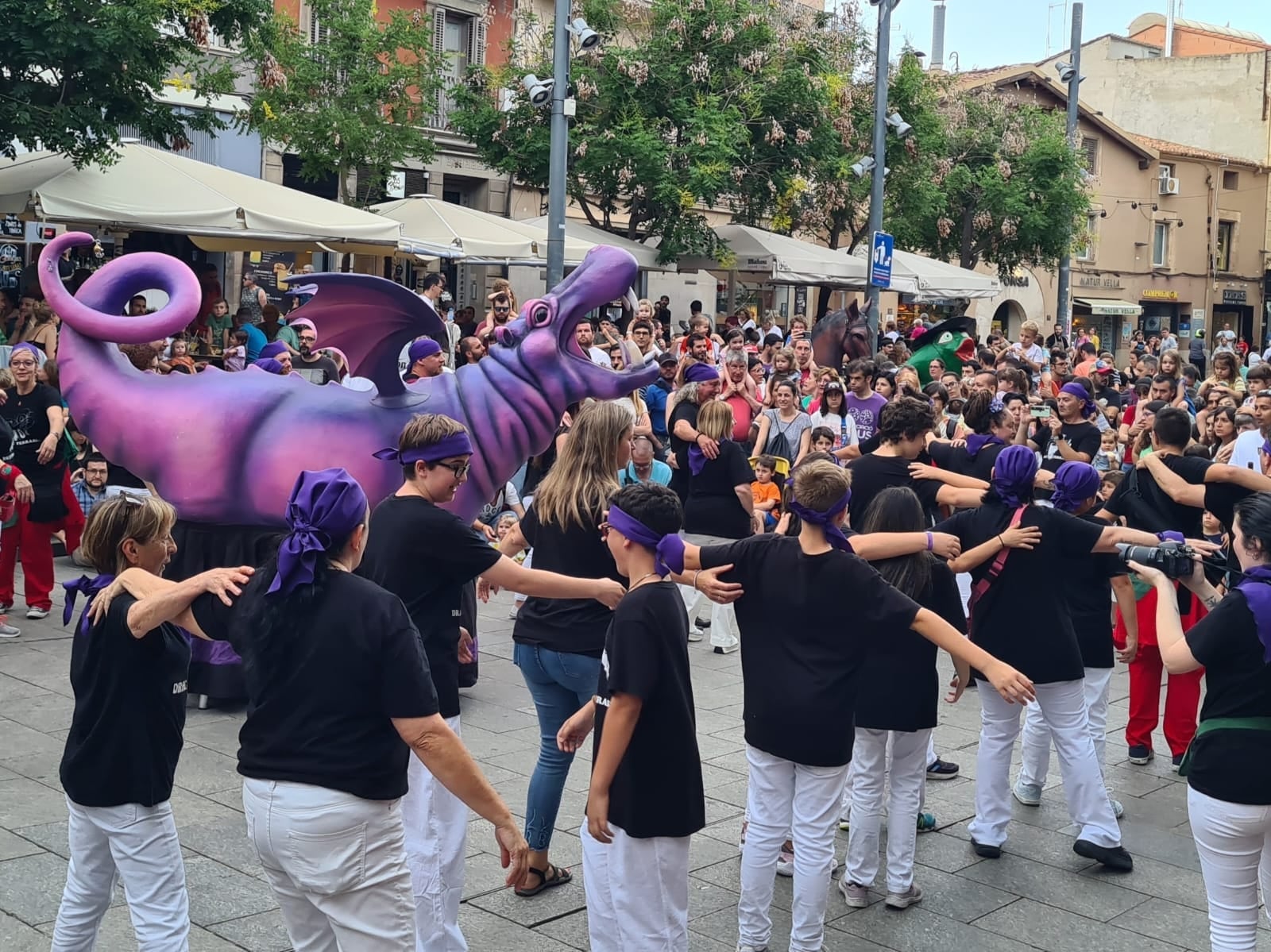 FOTOGALERIA | Bateig popular de la hipodragona de Terrassa