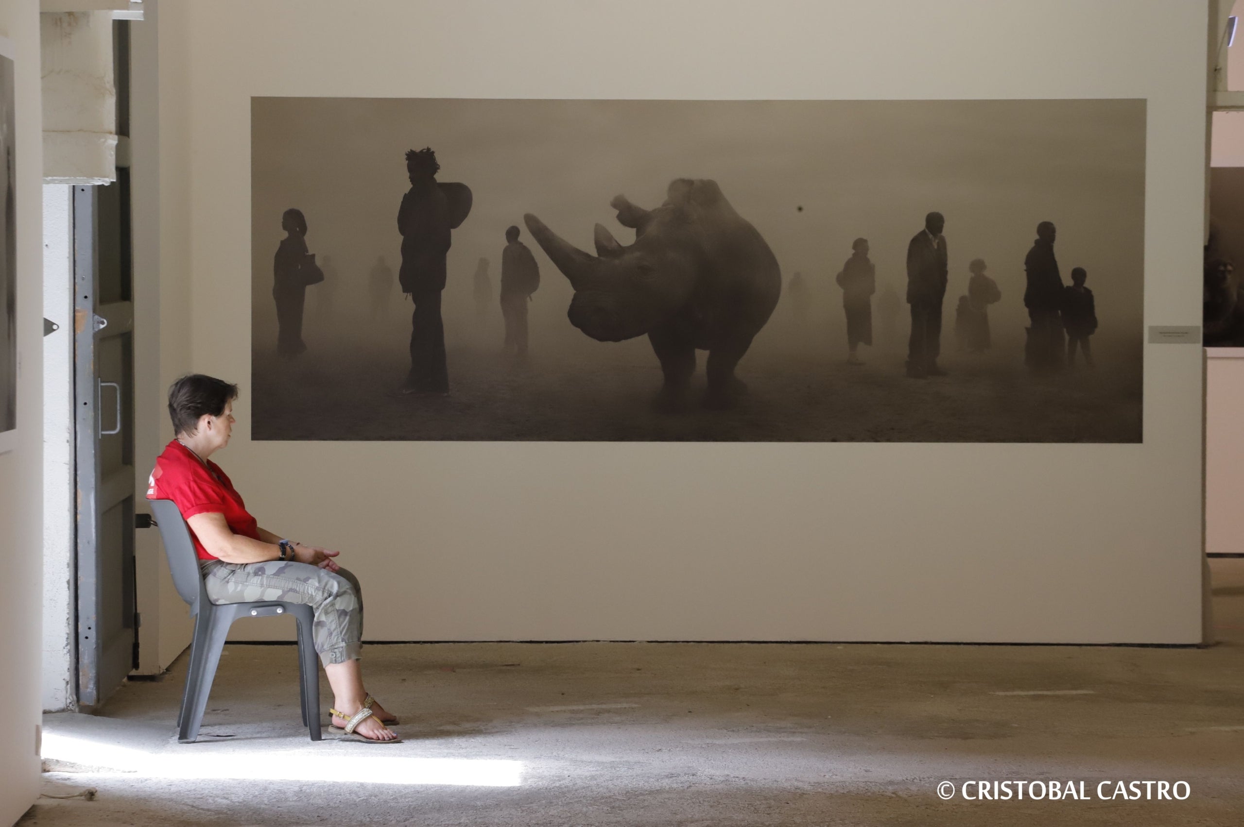 FOTOGALERIA Món Terrassa i Cristóbal Castro exposen al Visa pour l ...