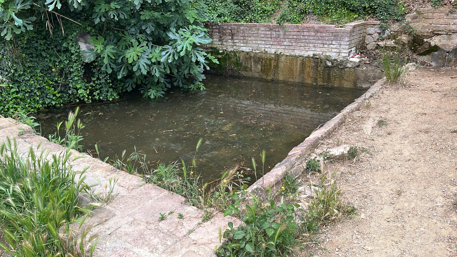 La rampa de la Font de la Misèria: una crida a la biodiversitat